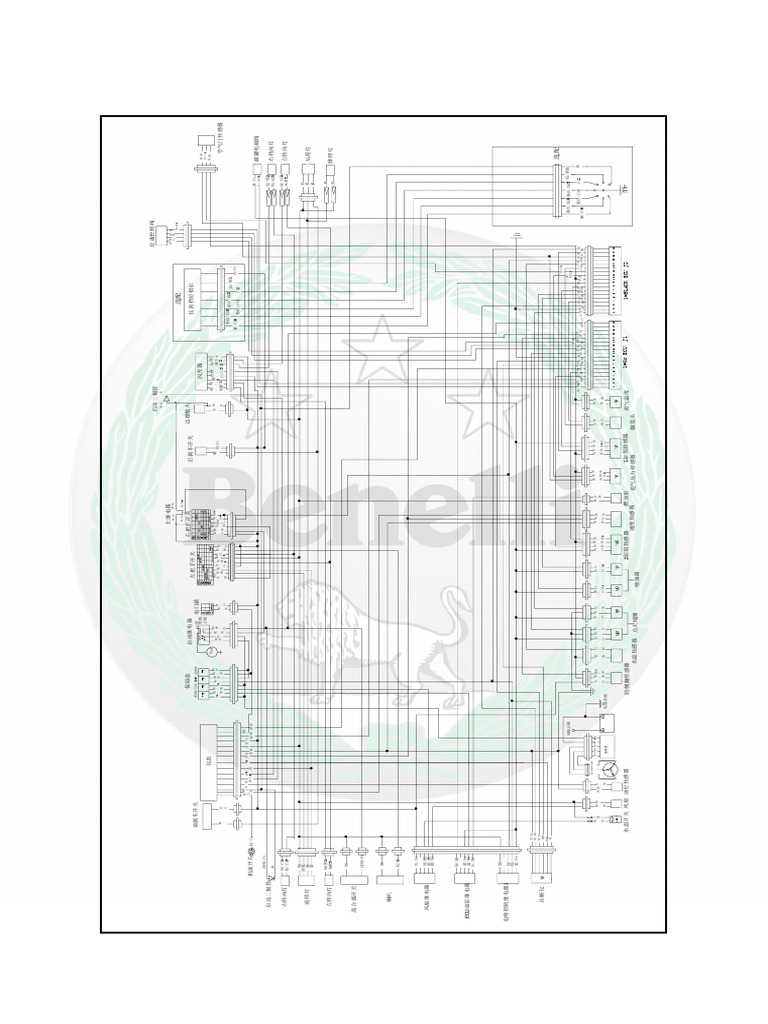Benelli TNT 300 Wiring Diagrams | PDF