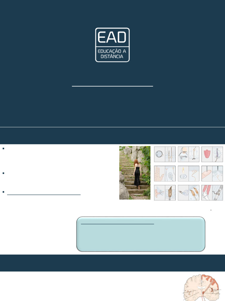 sld 2 controle motor | PDF
