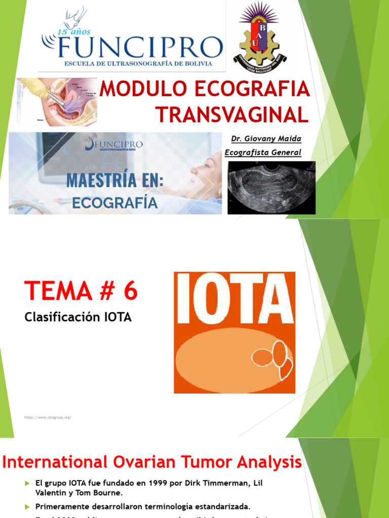 2114-Tema 6 Clasificacion IOTA | PDF