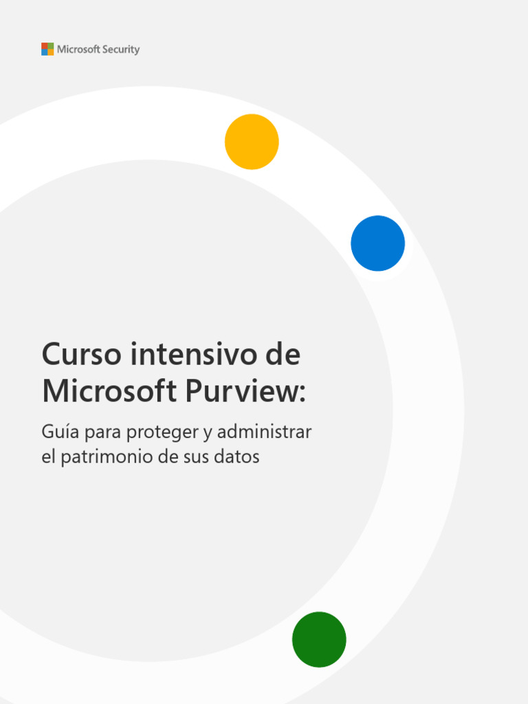 MS Purview Seguridad Datos | PDF | Auditoría | Microsoft