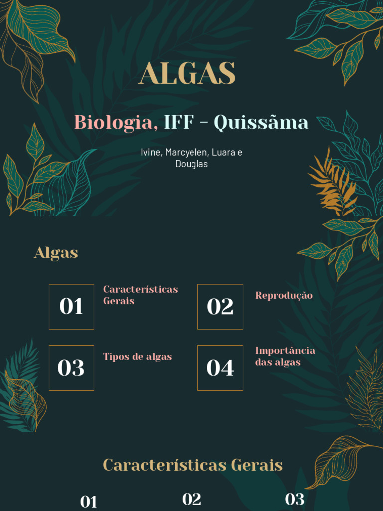 Algas | PDF