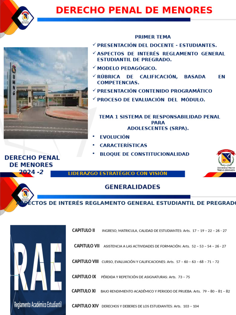 Tema 1 Dcho. Penal. Menores | PDF
