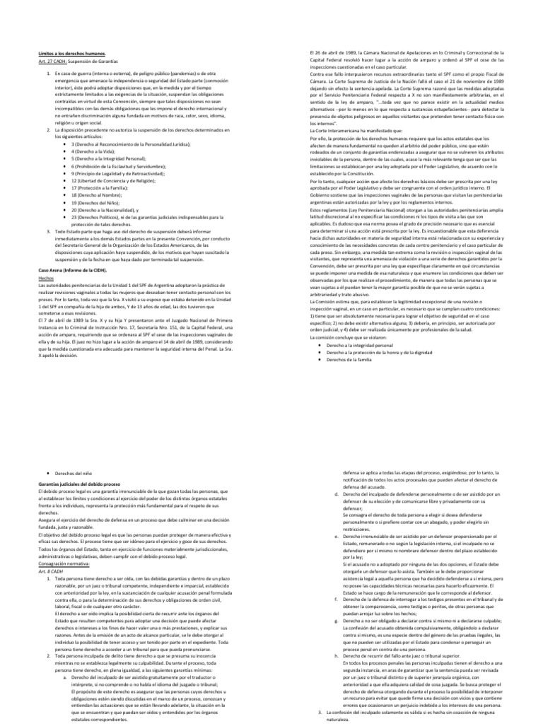 Resumen de DDHH 2 | PDF