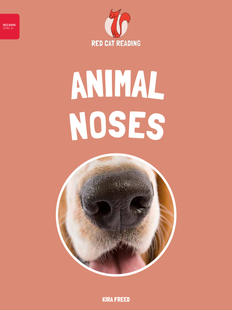 UNIT-32-Animal-Noses | PDF