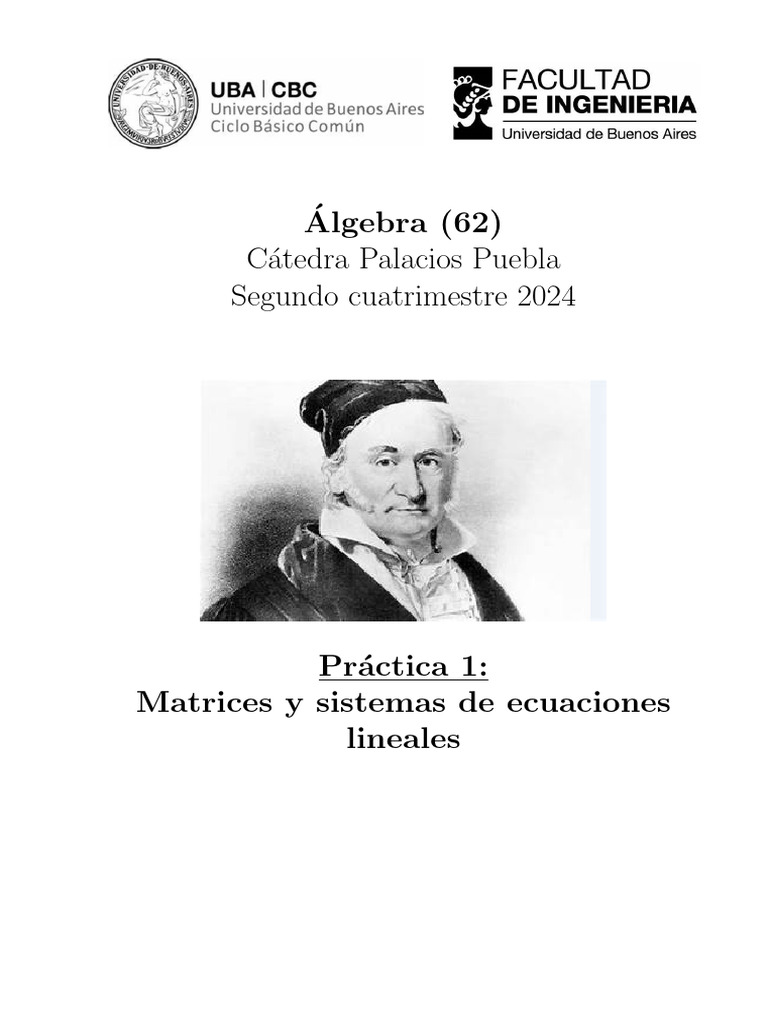Alg 62 Practica1 2c2024 | PDF