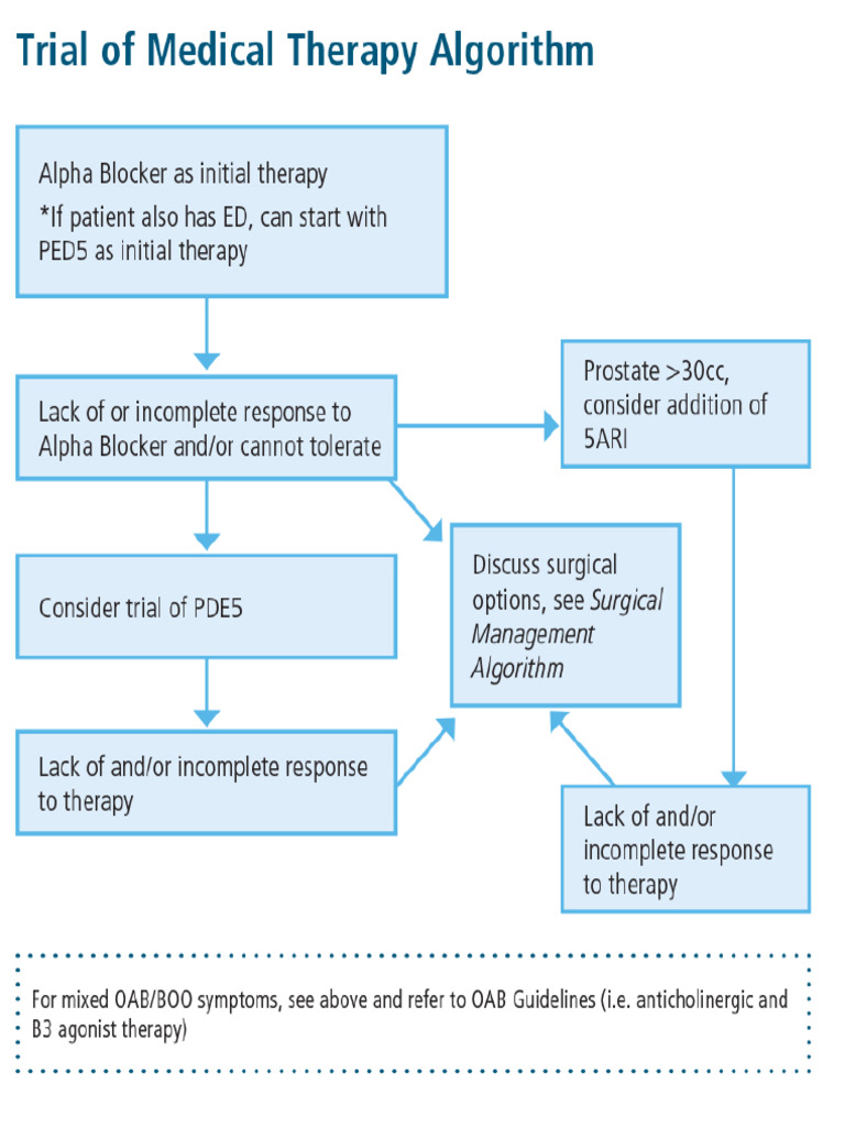 BPH Trial of Medical Therapy Algorithm | PDF