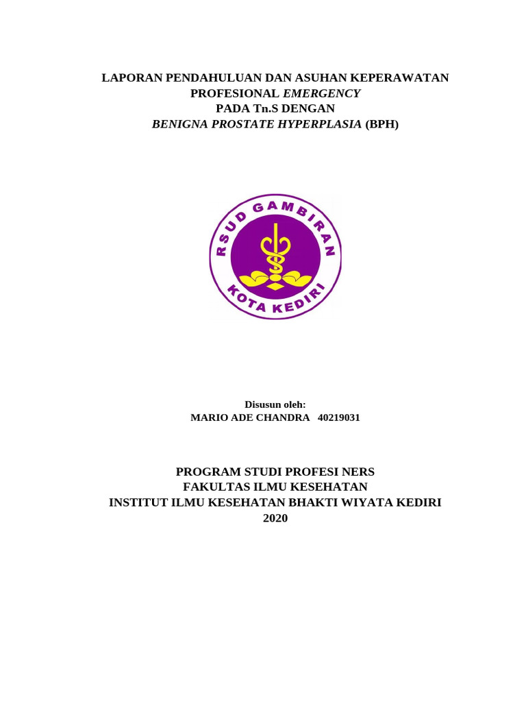 Bph 01 Pdf