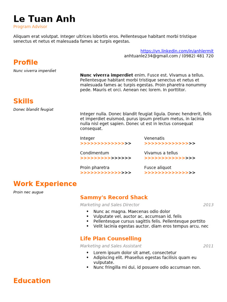 CV Technical Special | PDF