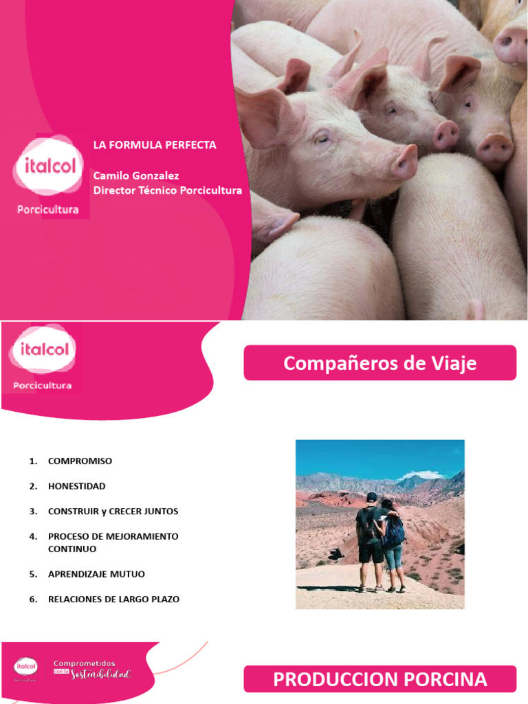 4 Presentacion Porcicultura PorciXpert | PDF