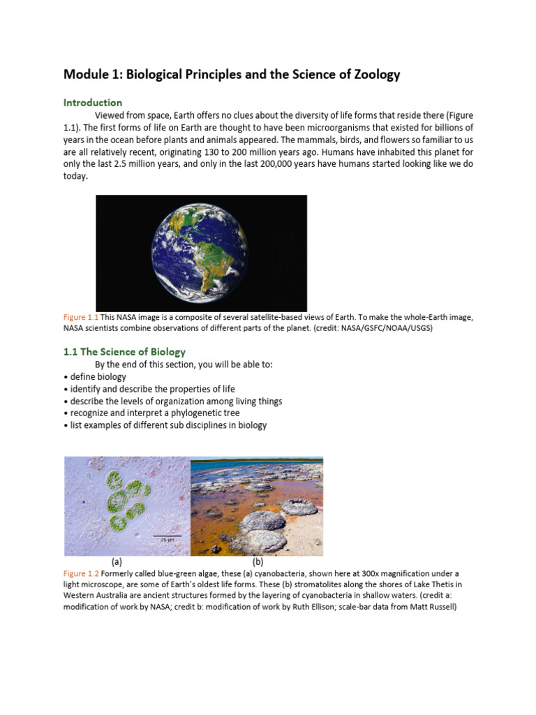 Module 1 - Biological Principles and The Science of Zoology | PDF