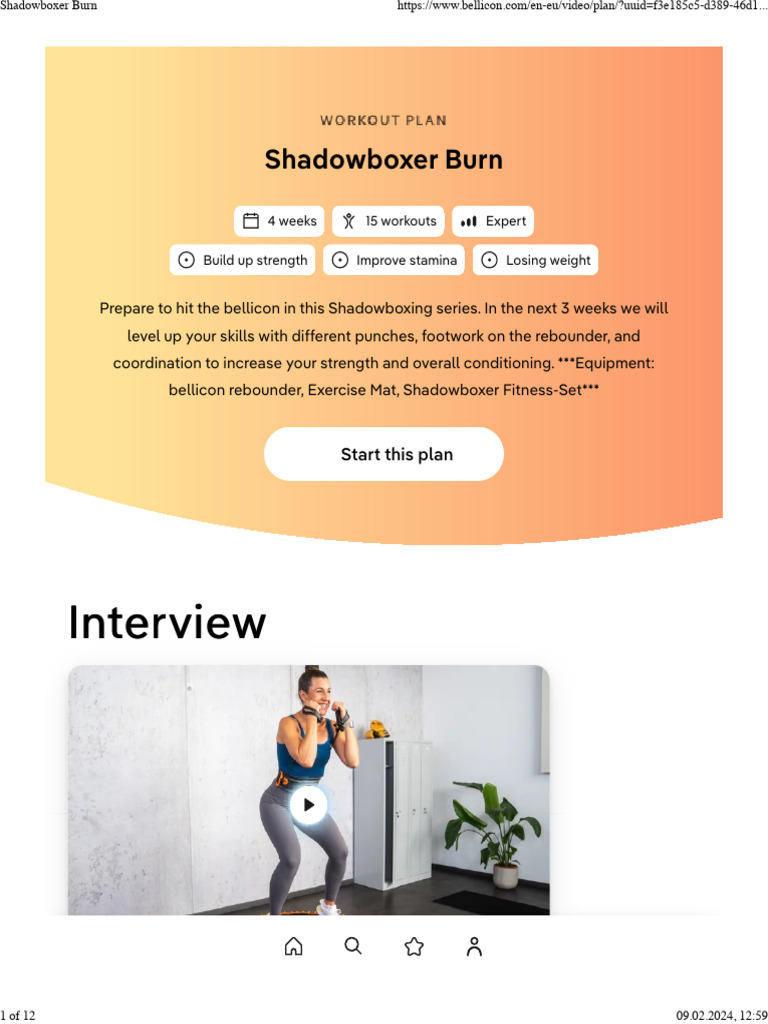 Shadowboxer Burn | PDF