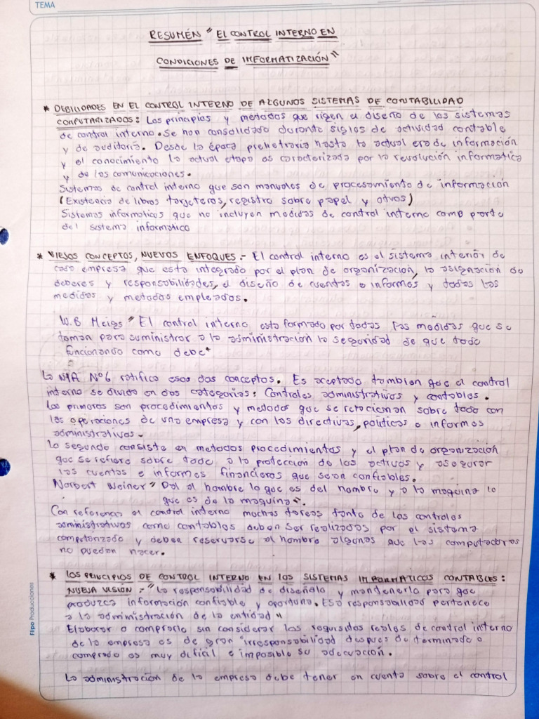 Resumen de Control Interno en Clases | PDF