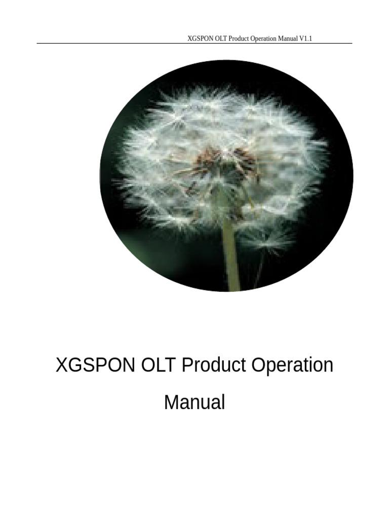 XGSPON OLT Operation Manual V1.1 20220829 | PDF