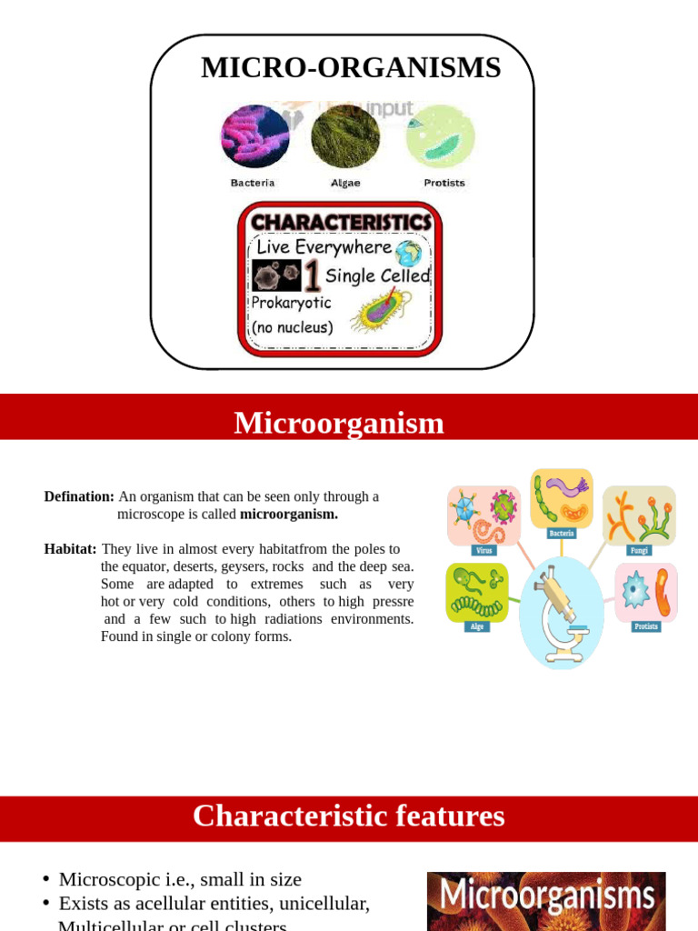 2. Microorganisms | PDF
