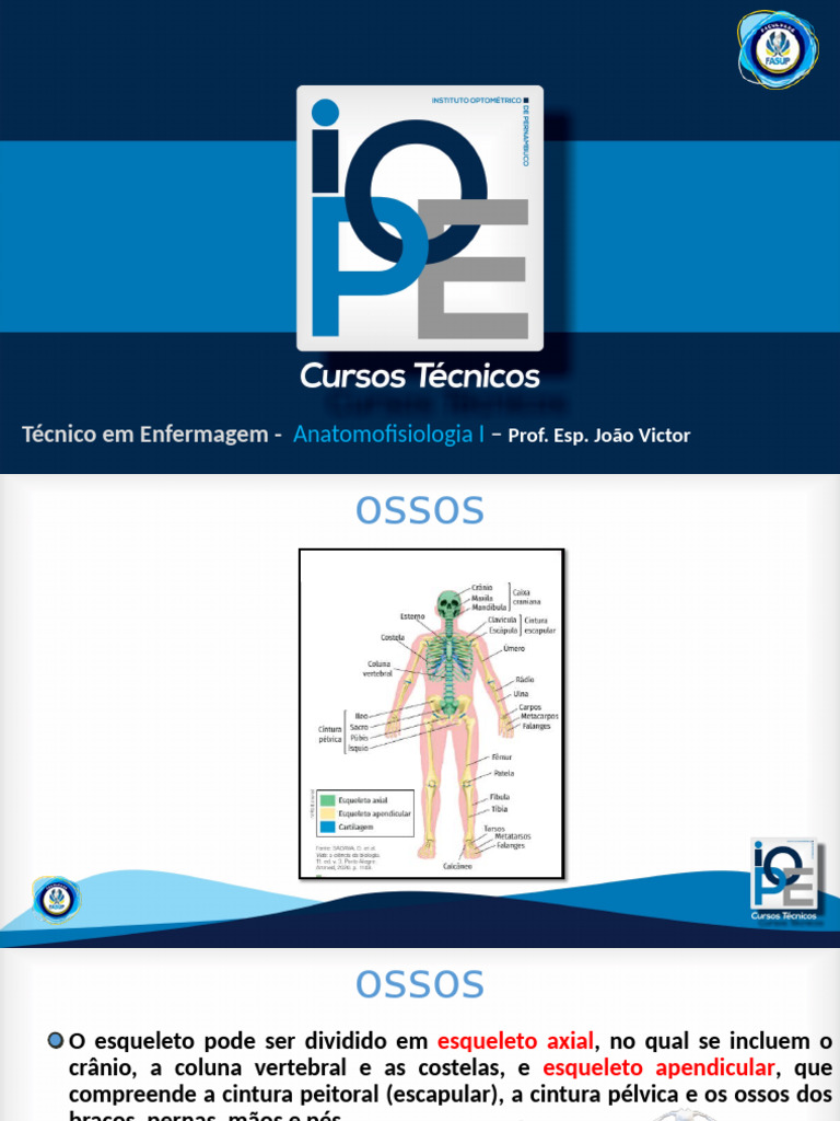 06 - Osso | PDF
