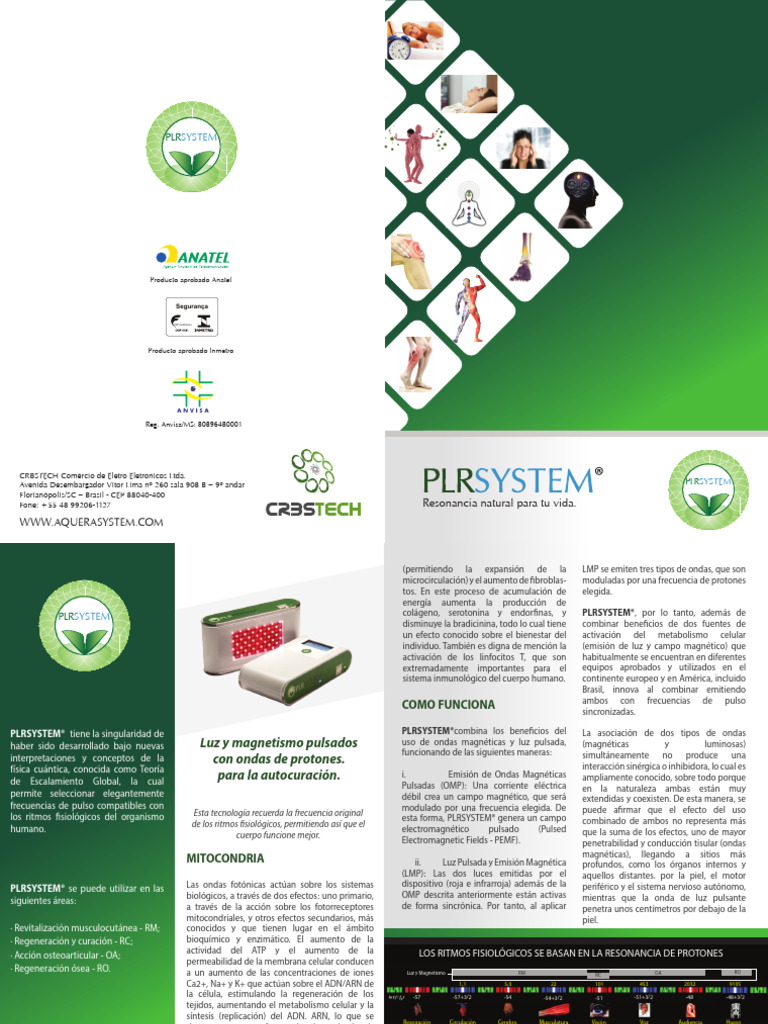 Folder PLR 13-05-2024 ESP-opt | PDF