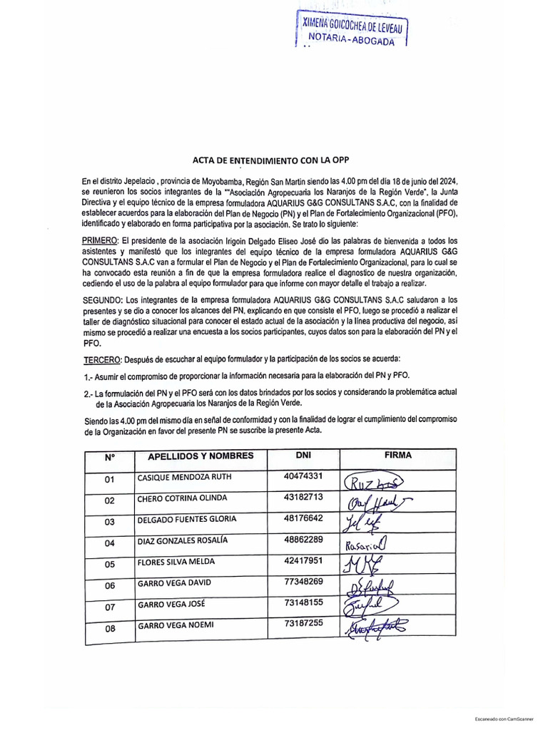 Acta de entendimiento Opp | PDF