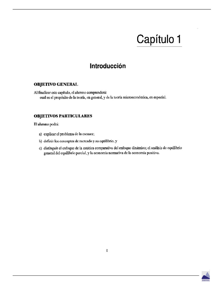 Cap+¡tulo 1 Salvattore 010138 | PDF