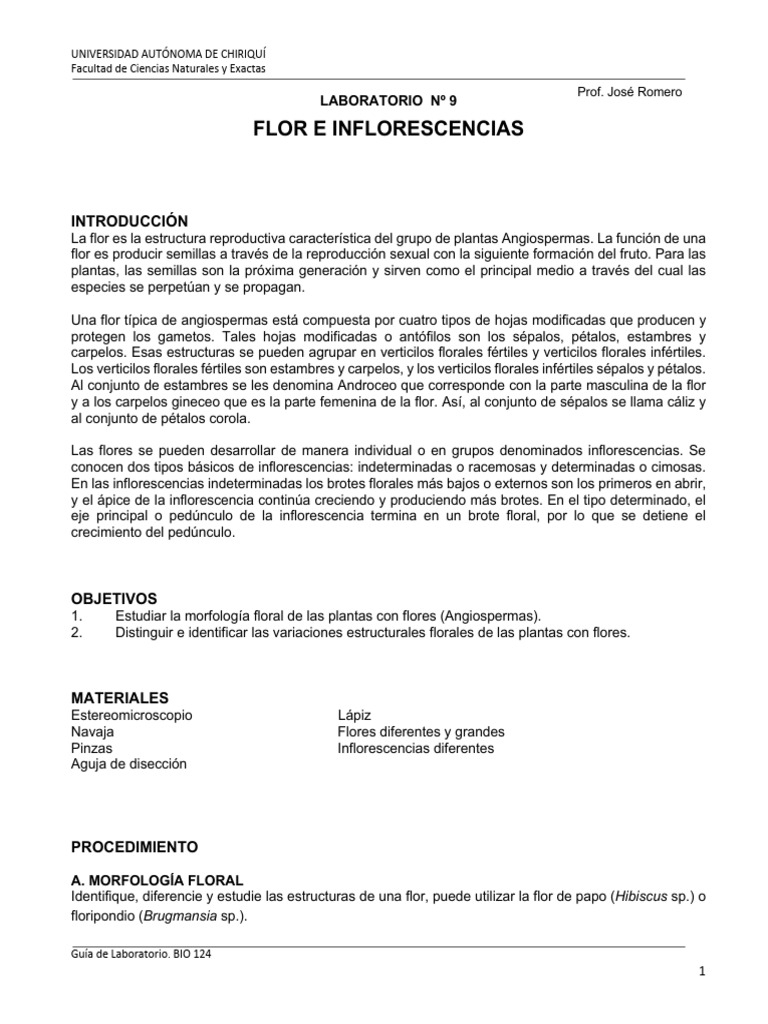 LAB9 Flor e Inflorescencia | PDF