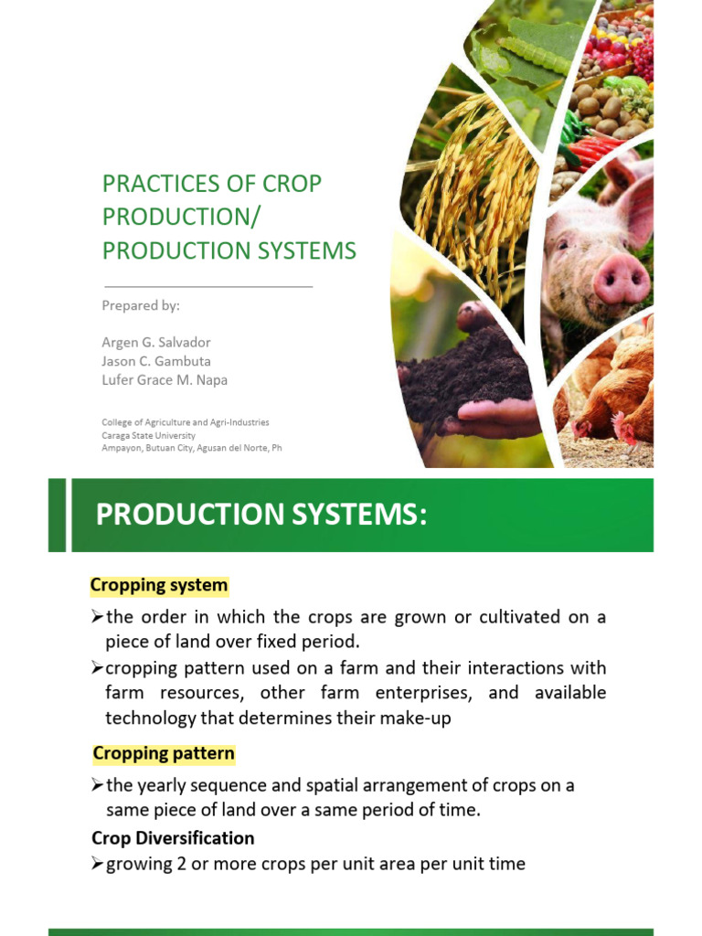 CS2.C4H.Production Systems | PDF
