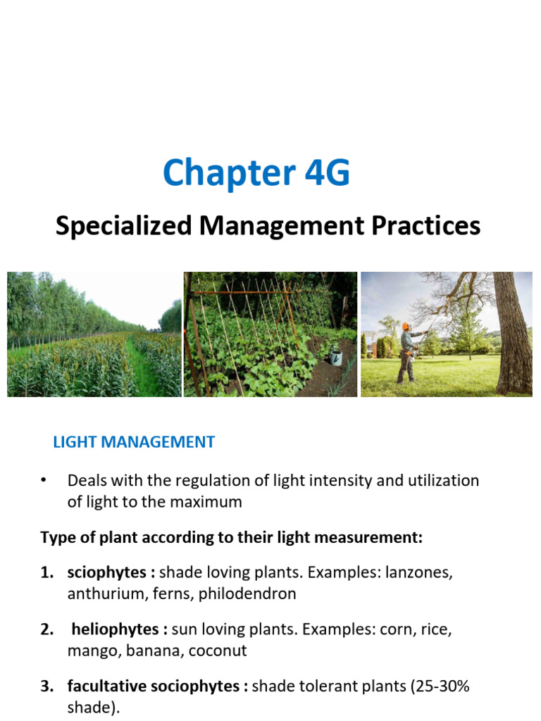 CS2.C4G.specialized Management Practices | PDF