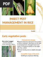 Rice Insect Pests Management Guide | PDF | Biological Pest Control | Rice