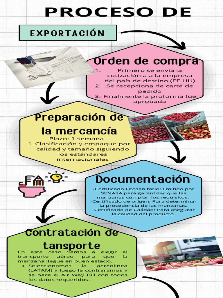 Infografia Grafico Proceso Pasos Orden Doodle Multicolor | PDF
