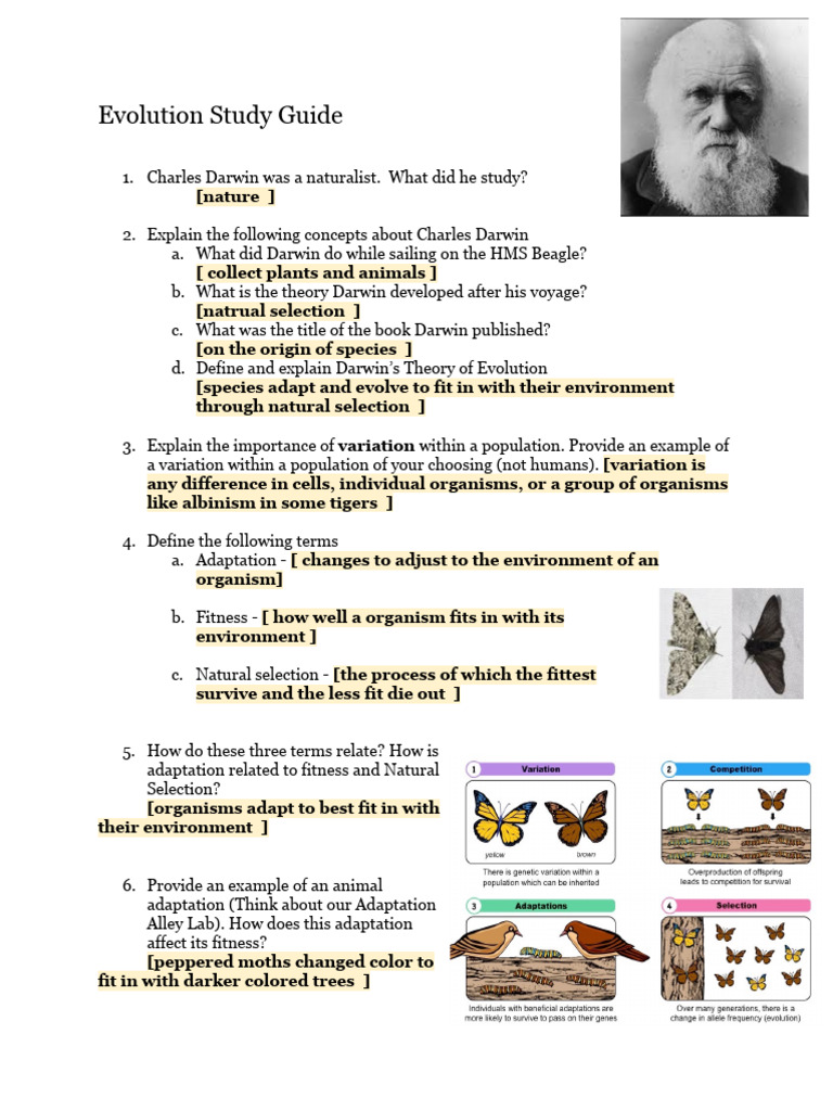 DOMINIC DODD - Unit 8 Evolution Study Guide | PDF