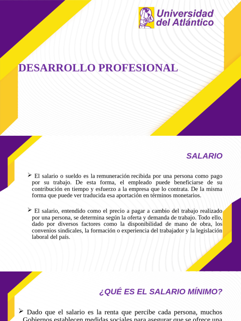 Desarrollo Profesional | PDF