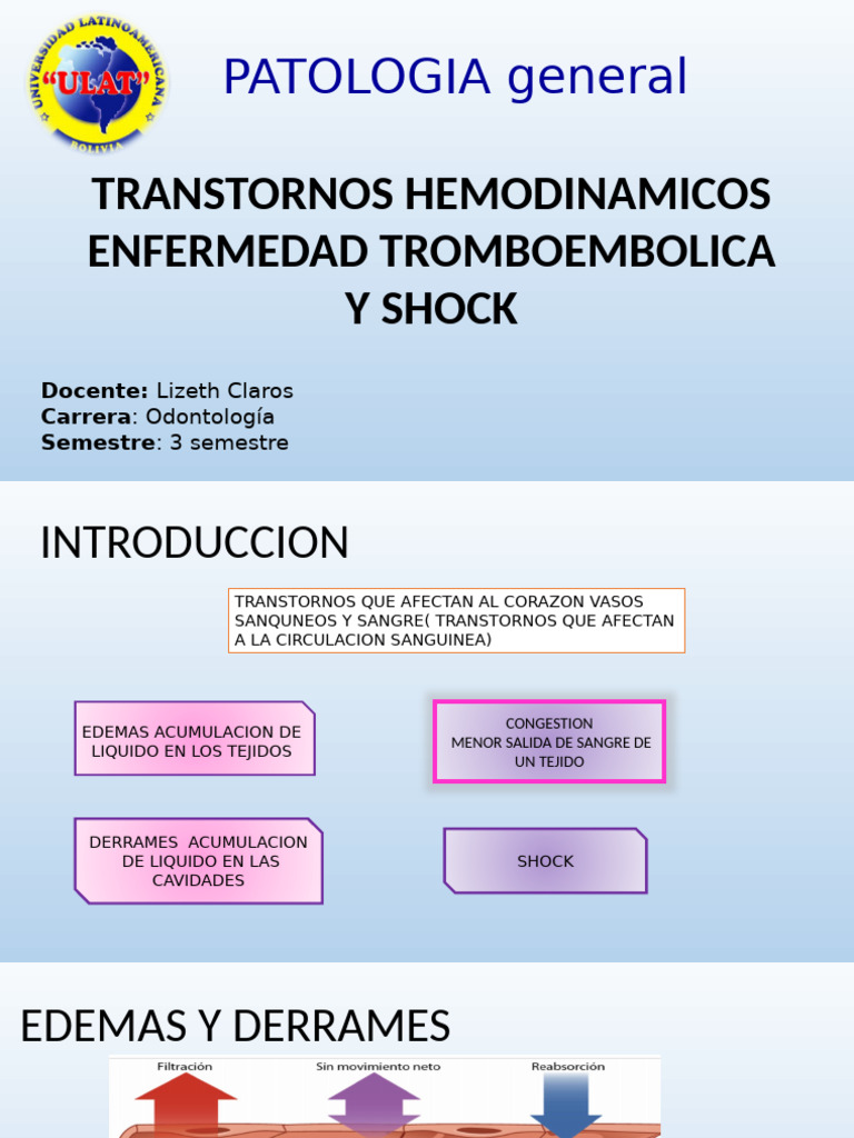 TEMA 4 Completo | PDF