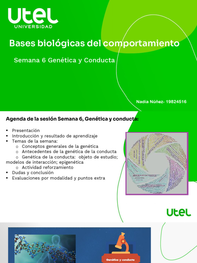 BBC Oc6 | PDF