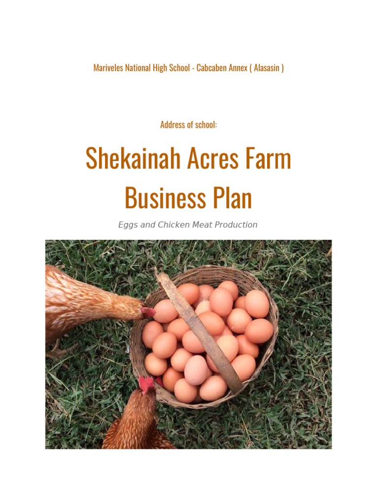 Poultry Farming Business Plan Overview | PDF | Poultry | Business