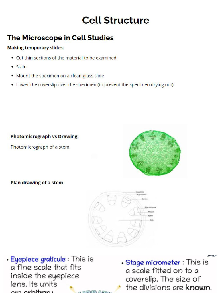 Cell Structure | PDF