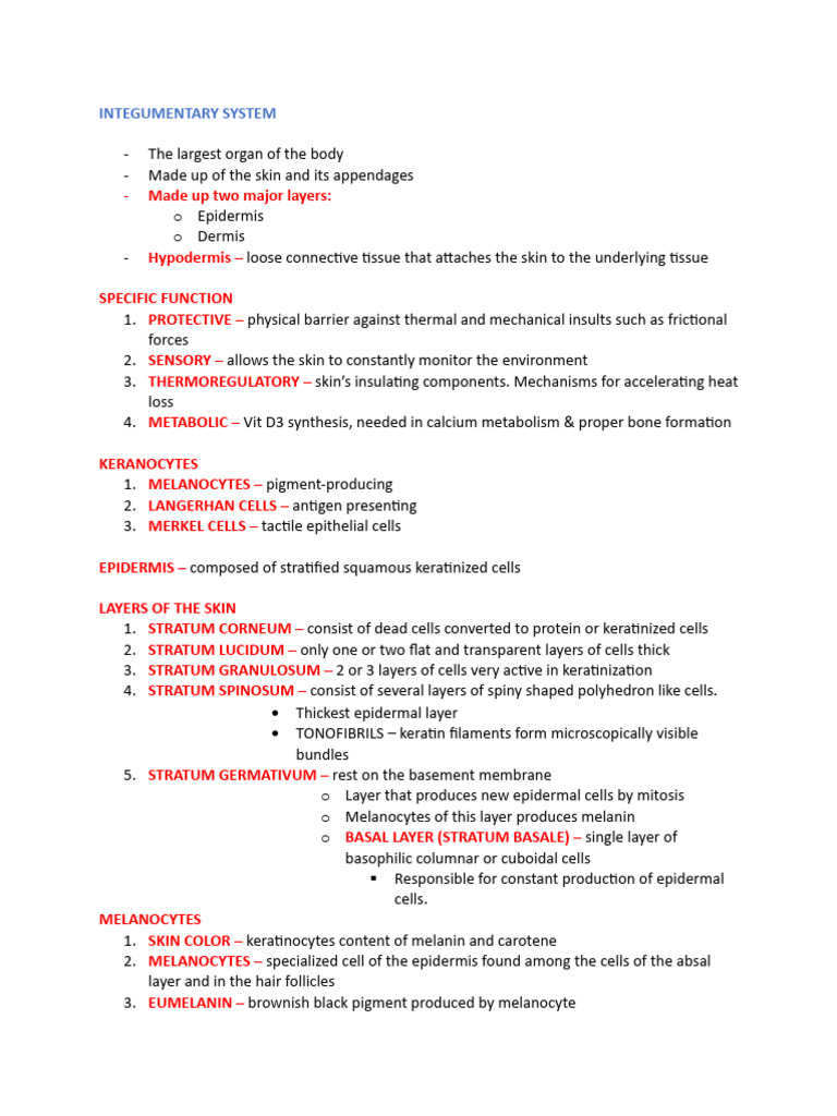 Integumentary System | PDF
