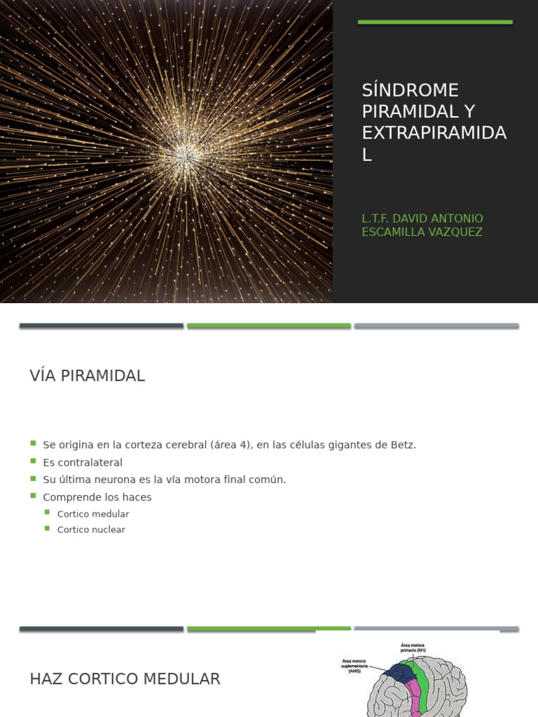 Sindrome Piramidal y Extrapiramidal | PDF