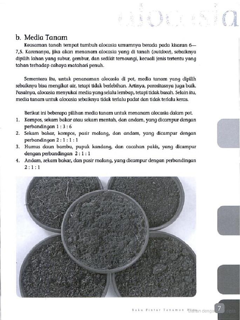 Ensiklopedia Tanaman Halaman 12 | PDF