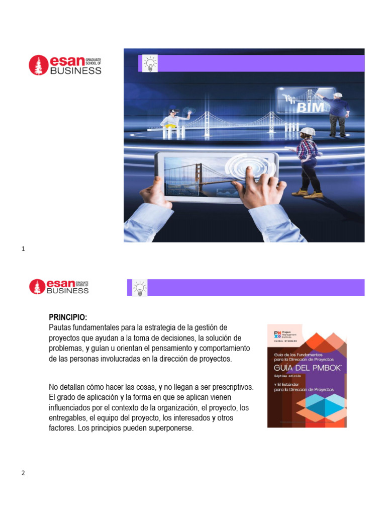 Ses 01-2. Principios de Gestión de Proyectos (51) (MODIFICADO) Julio ...