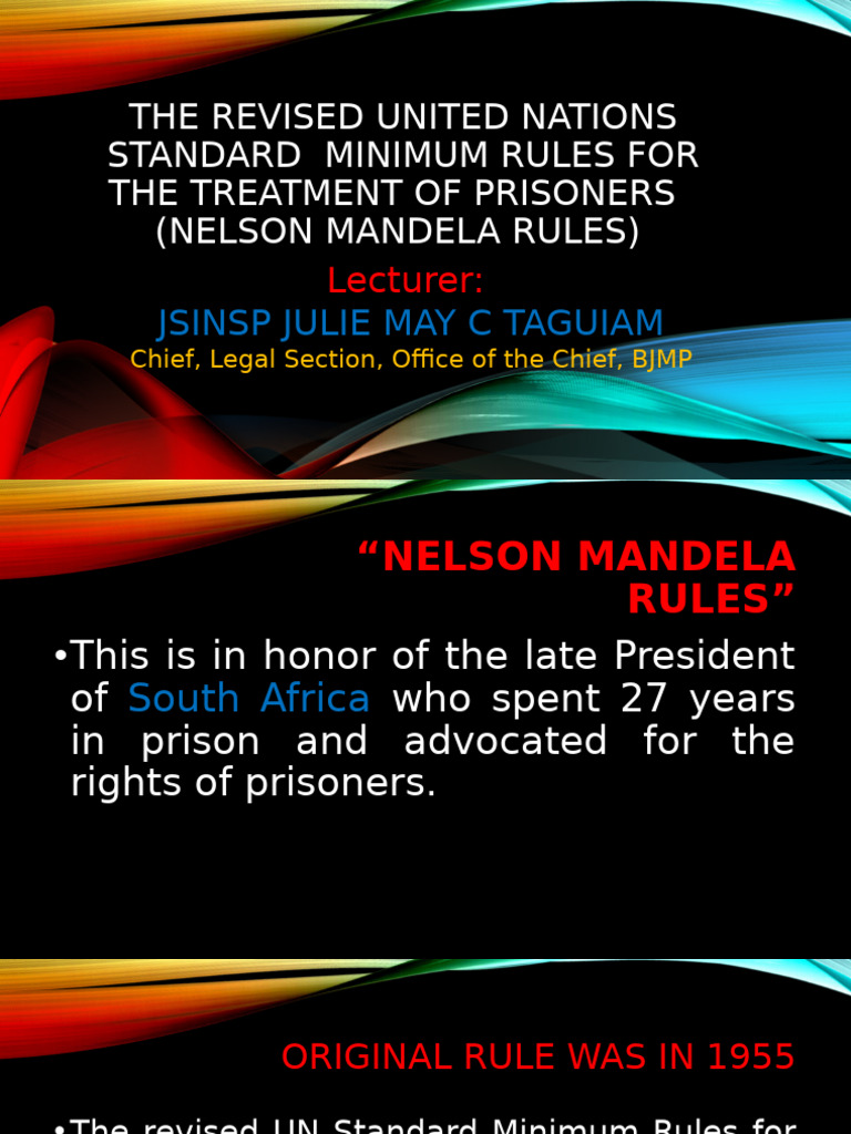 Nelson Mandela Rules | PDF
