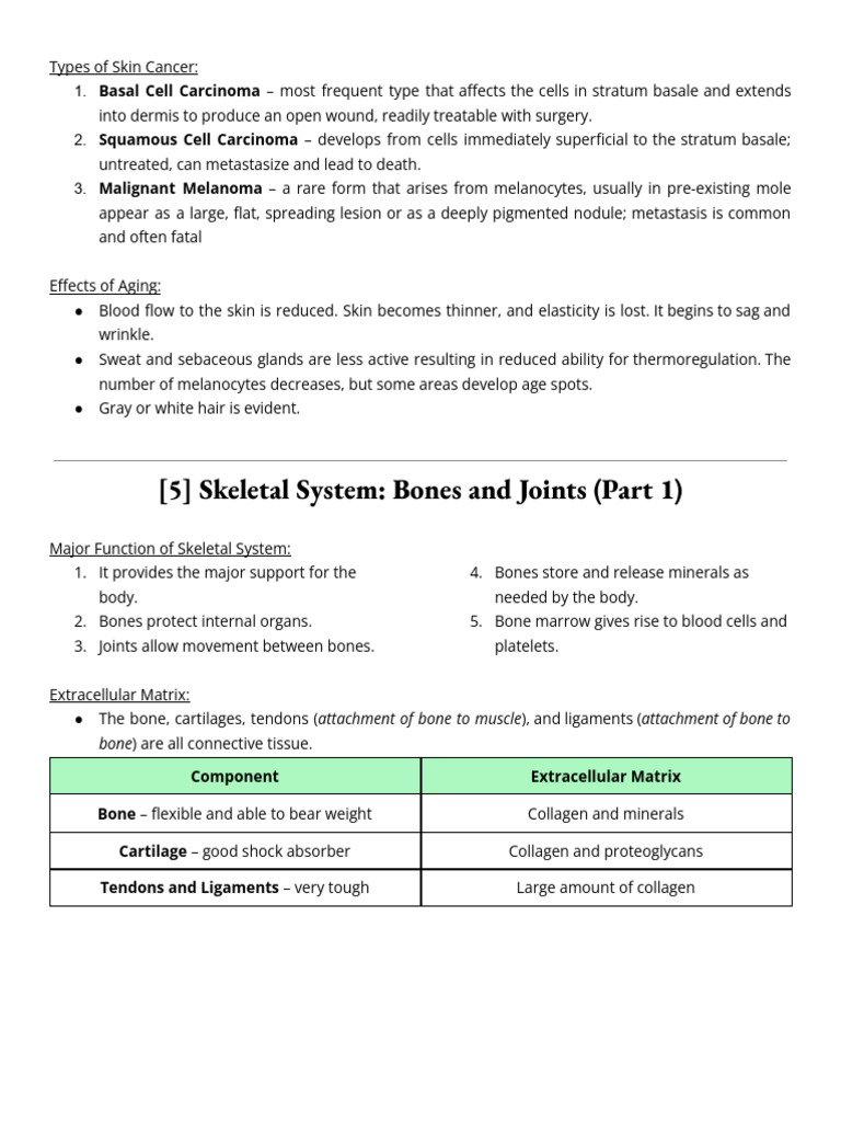 Skeletal System - Bones and Joins (Part 1) | PDF