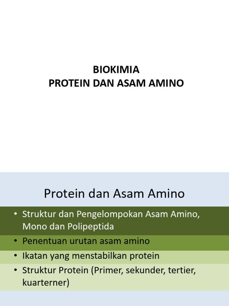 Biokimia Protein Dan Asam Amino | PDF