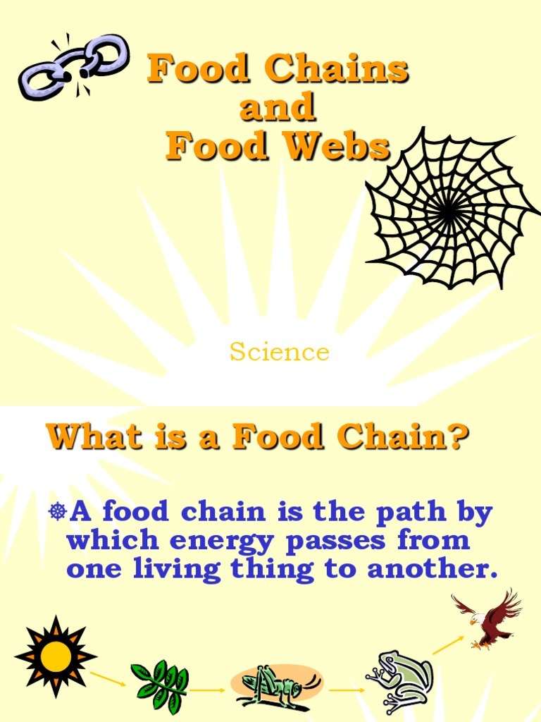 Food Chains and Webs | PDF | Wellness