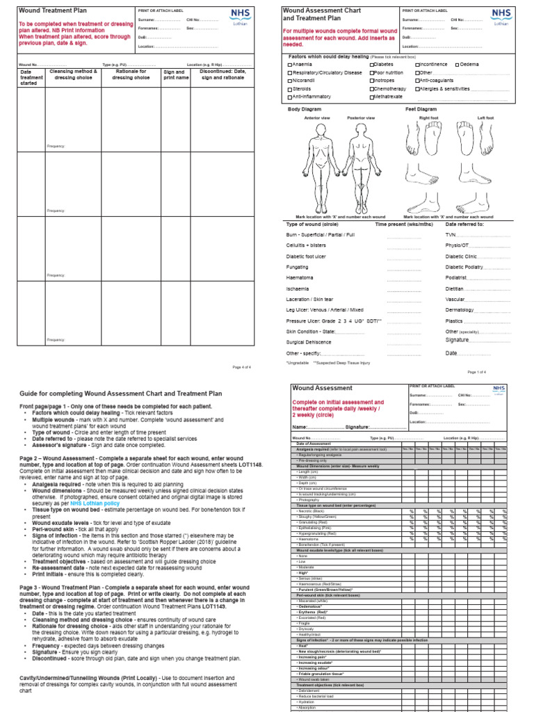 Tissue Viability Wound Assessment Chart and Treatment Plan | PDF