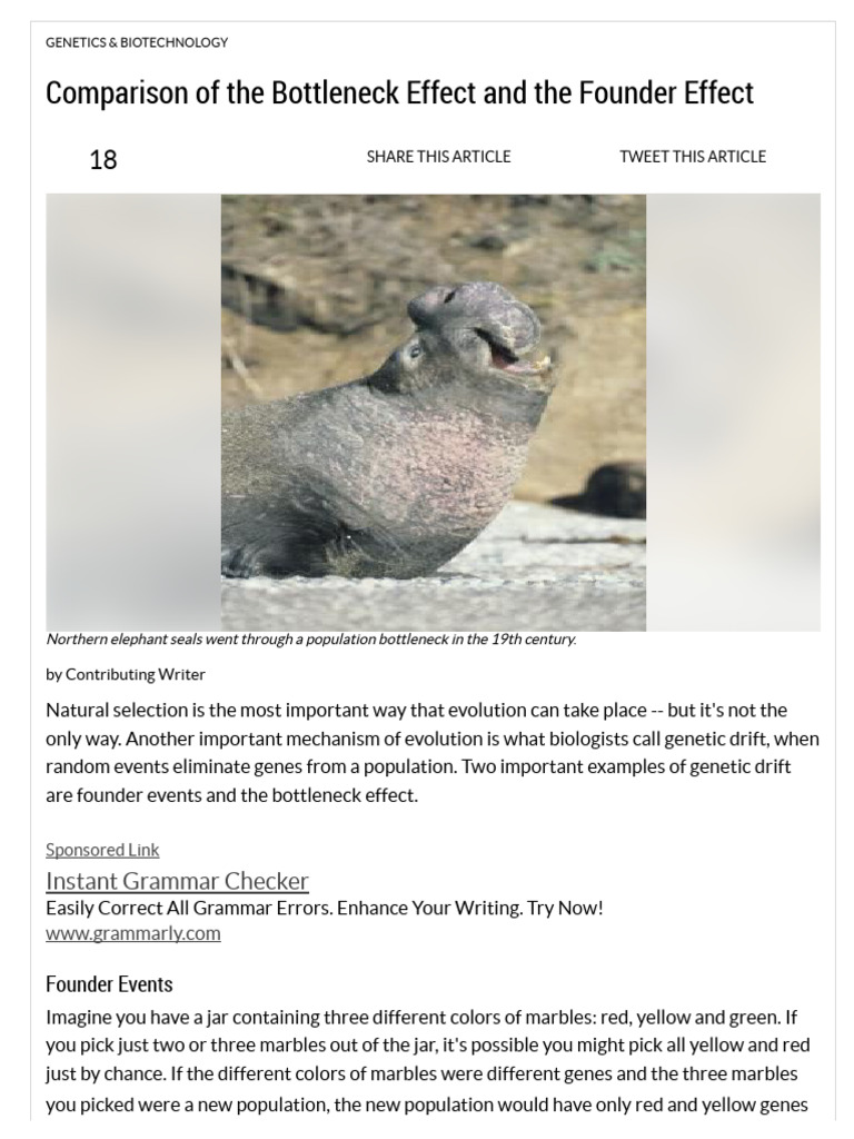 Bottleneck and Founder Effect | PDF