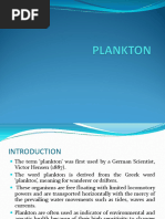 Easy Identification of Diatoms | PDF