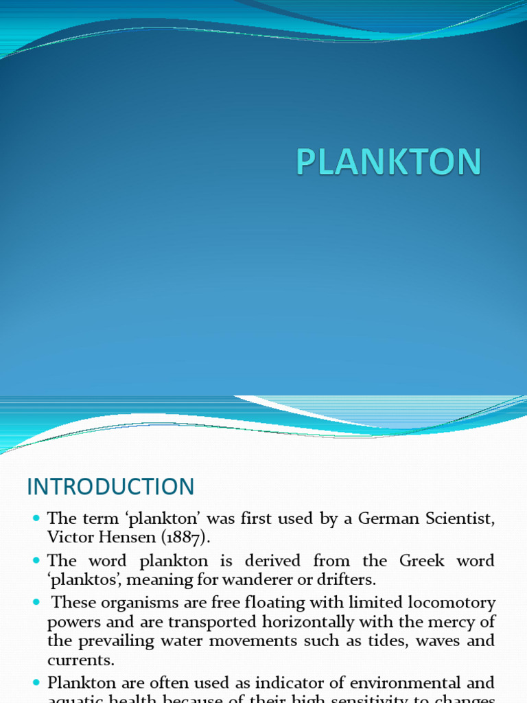 Understanding Plankton: Types and Roles | PDF | Plankton | Phytoplankton