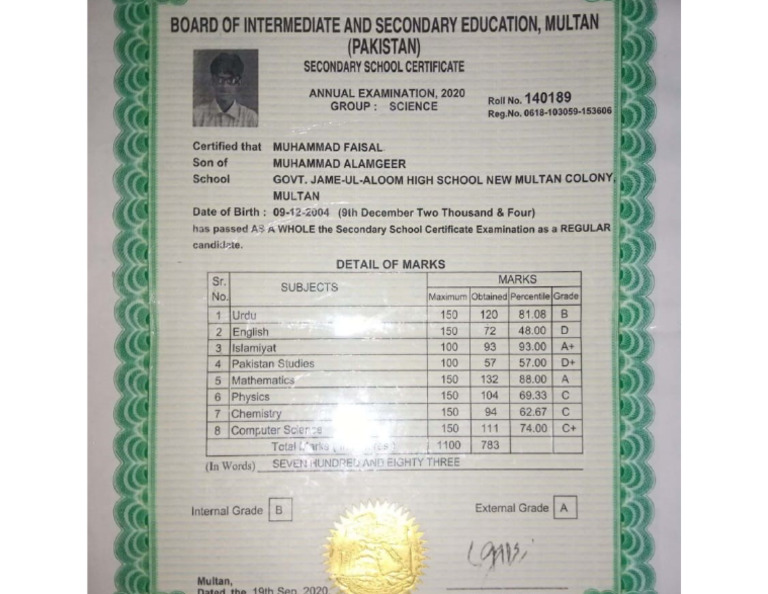 Faisal Doc Matric Sanat | PDF