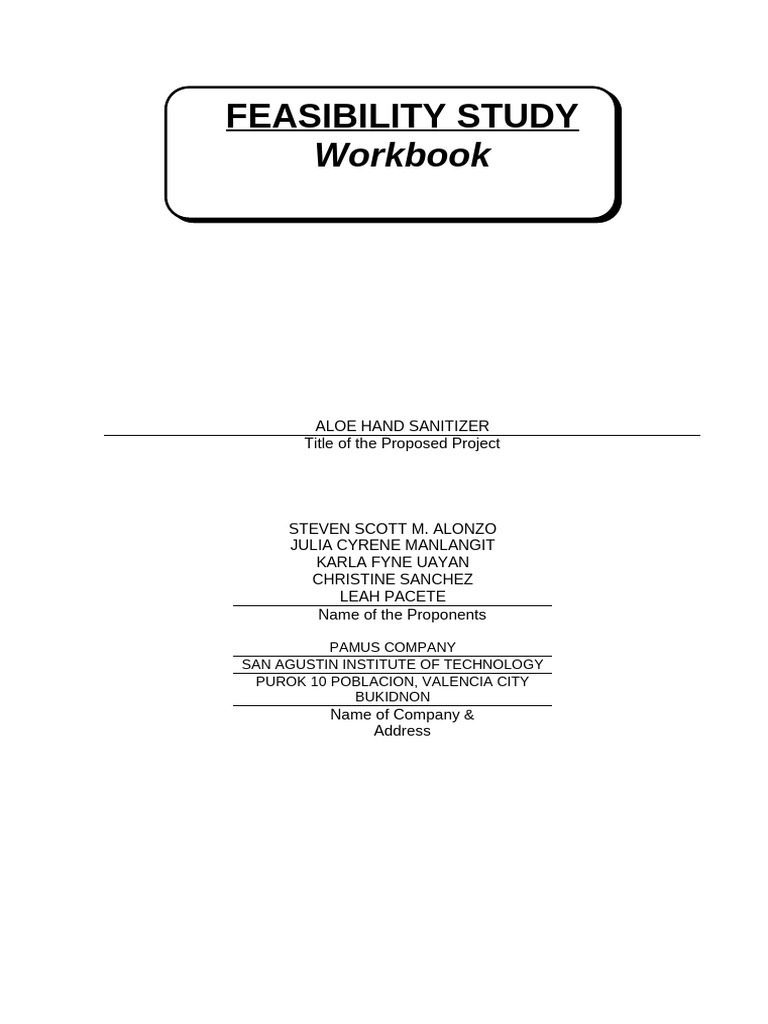Feasibility Study Preparation Work Book | PDF