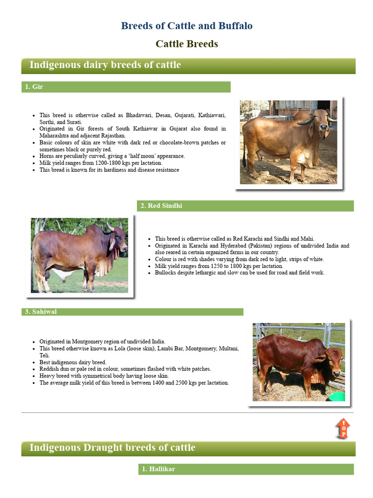 Breeds of Cattle and Buffalo | PDF