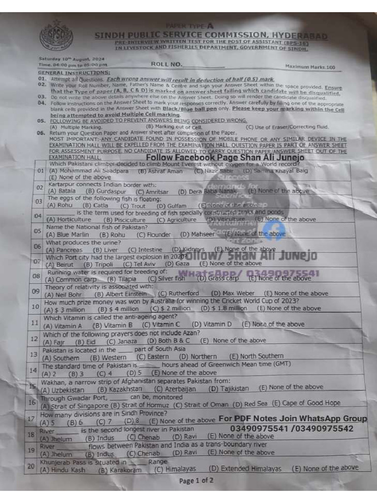 Today's Assistant BPS 16 Paper Held On 10 August 2024 WhatsApp ...