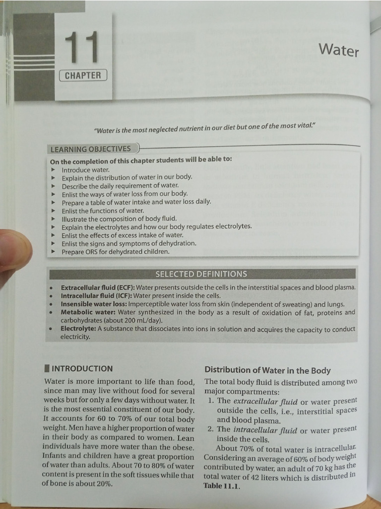 Water | PDF